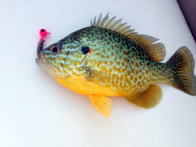 Fishing | Silver Lake